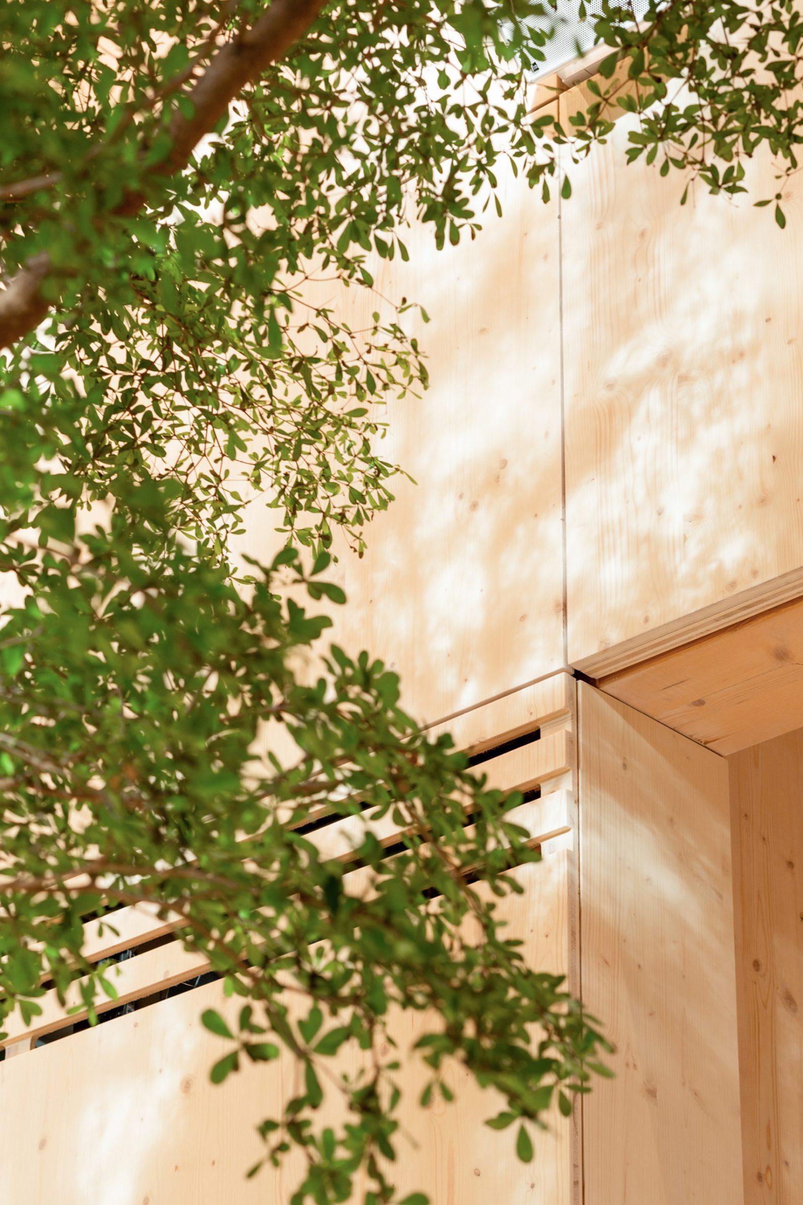 Brent Cross Town: Visitor Pavilion | DNCO